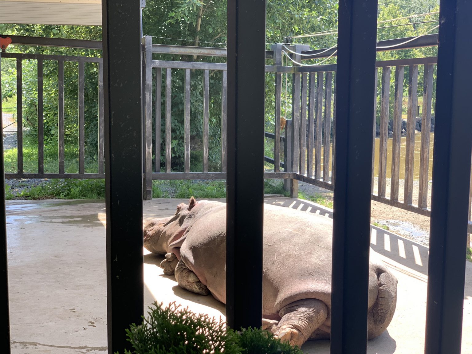 Greater Vancouver Zoo – Mel's Travel Tales