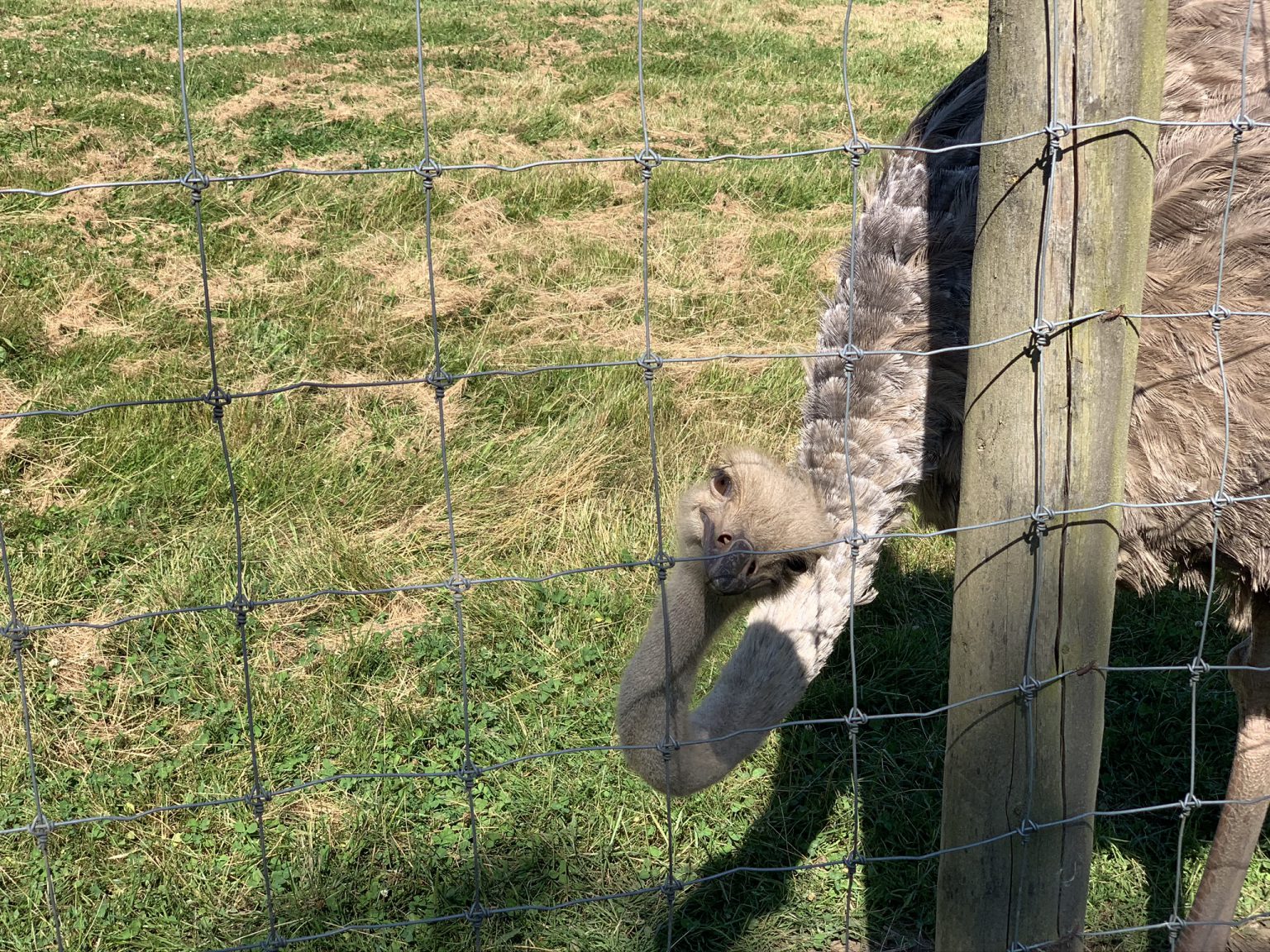 Greater Vancouver Zoo – Mel's Travel Tales