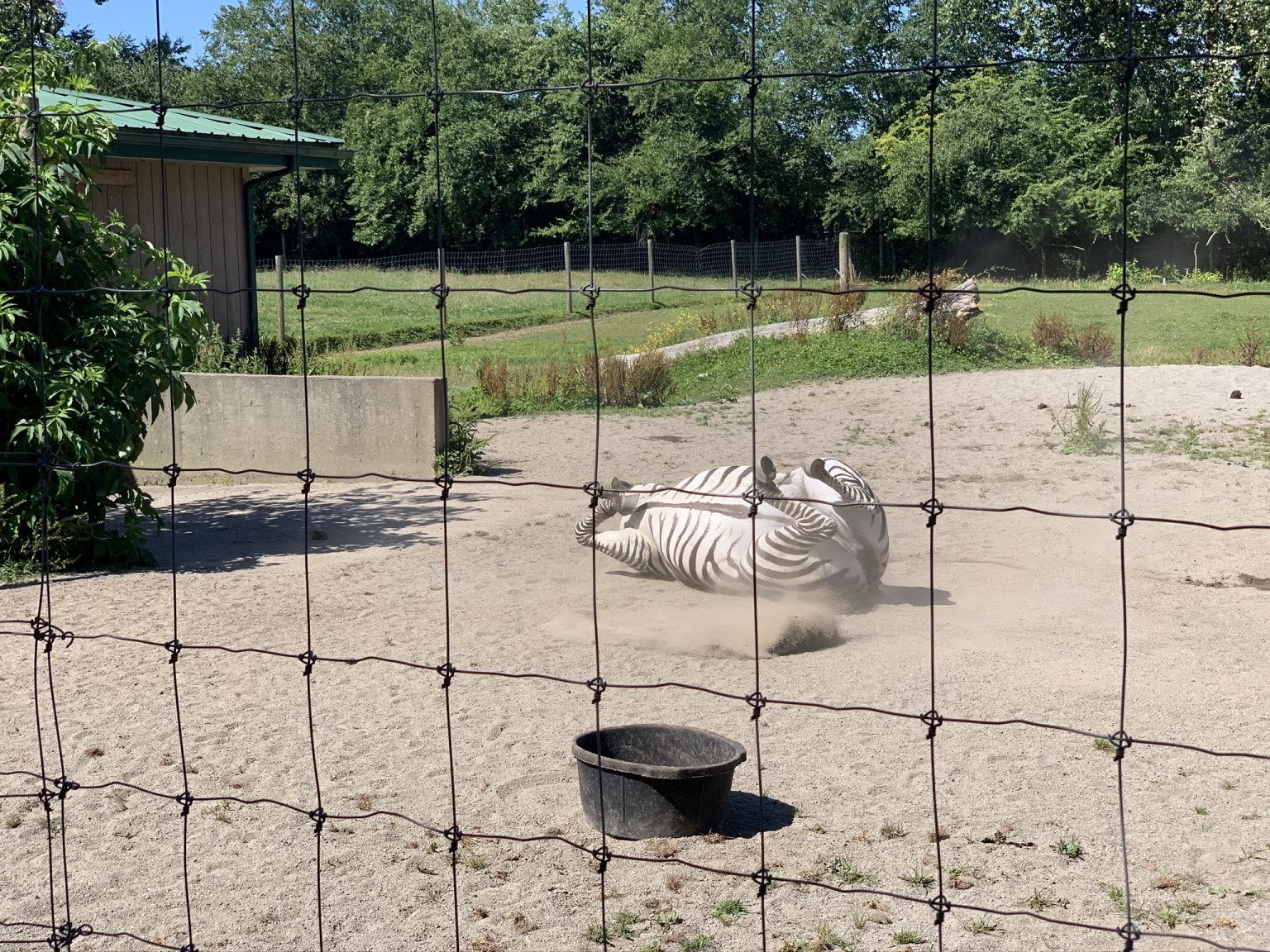 Greater Vancouver Zoo – Mel's Travel Tales